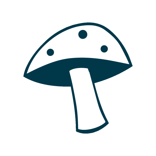 Min Specs | the Creators Company